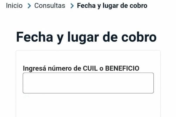 Cómo ver fechas de cobro MI ANSES paso a paso